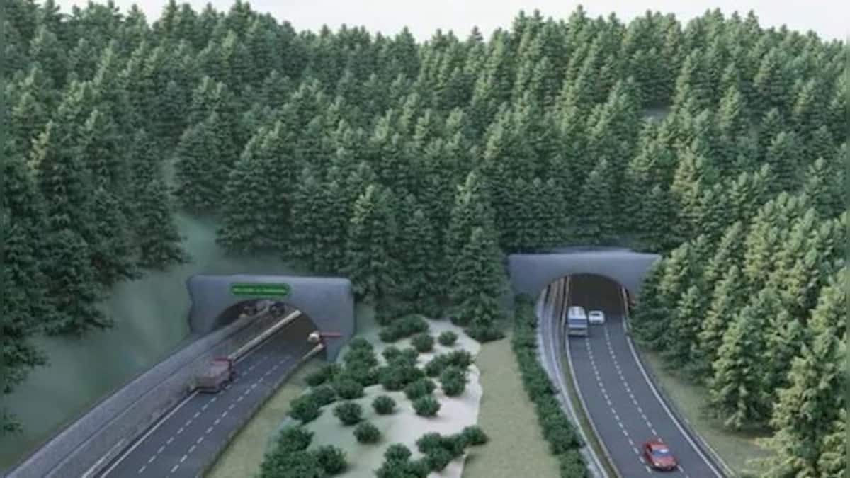 Coming soon to India, the first elevated wildlife corridor: What is it ...