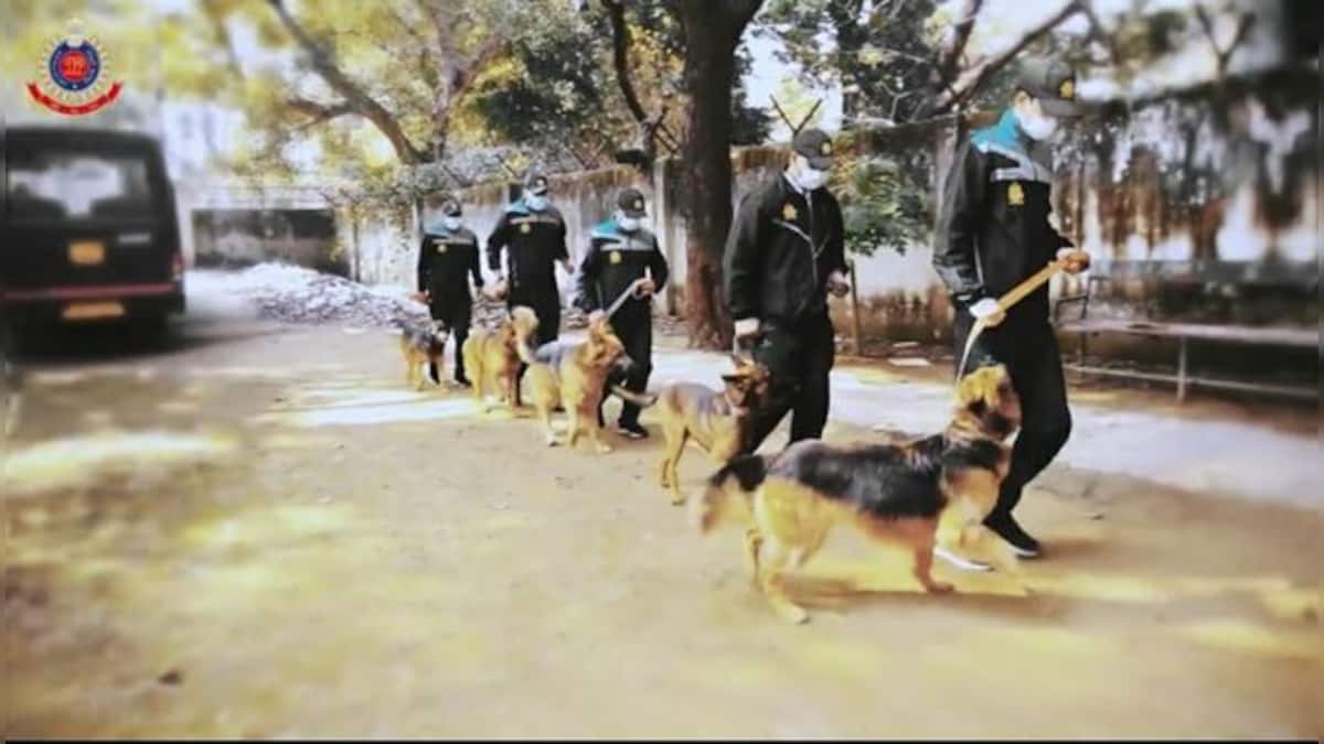 Watch: Delhi Police thanks K9 squad on International Dog Day – Firstpost