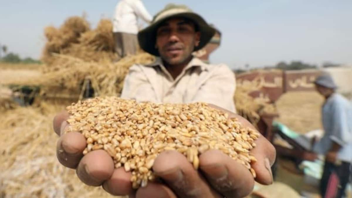 PMGKAY: Free ration scheme for poor extended by 3 months – Firstpost