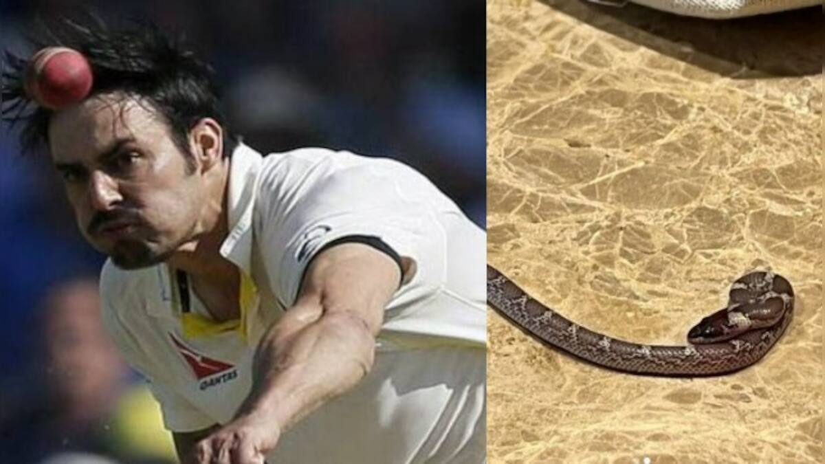 Mitchell Johnson encounters snake as surprising guest inside Lucknow ...