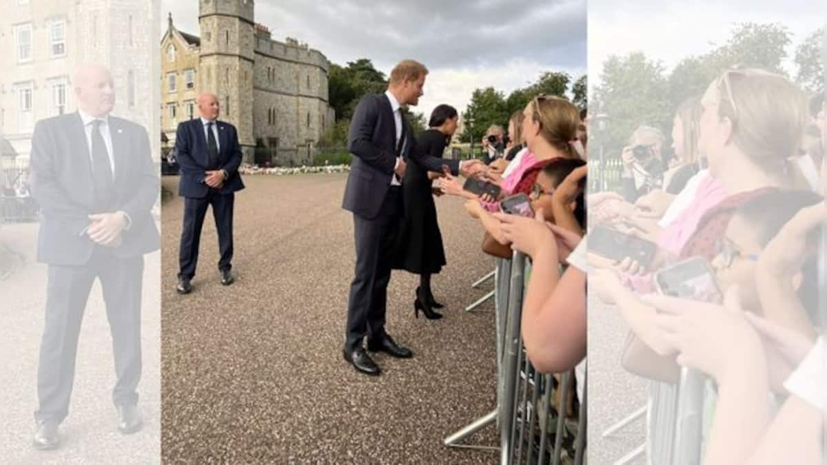 Prince Harry warmly comforts pet labrador at Windsor; photo wins ...