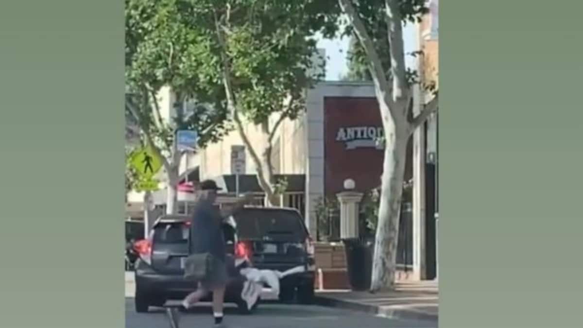 Man walks goose on leash, video leaves internet shocked – Firstpost