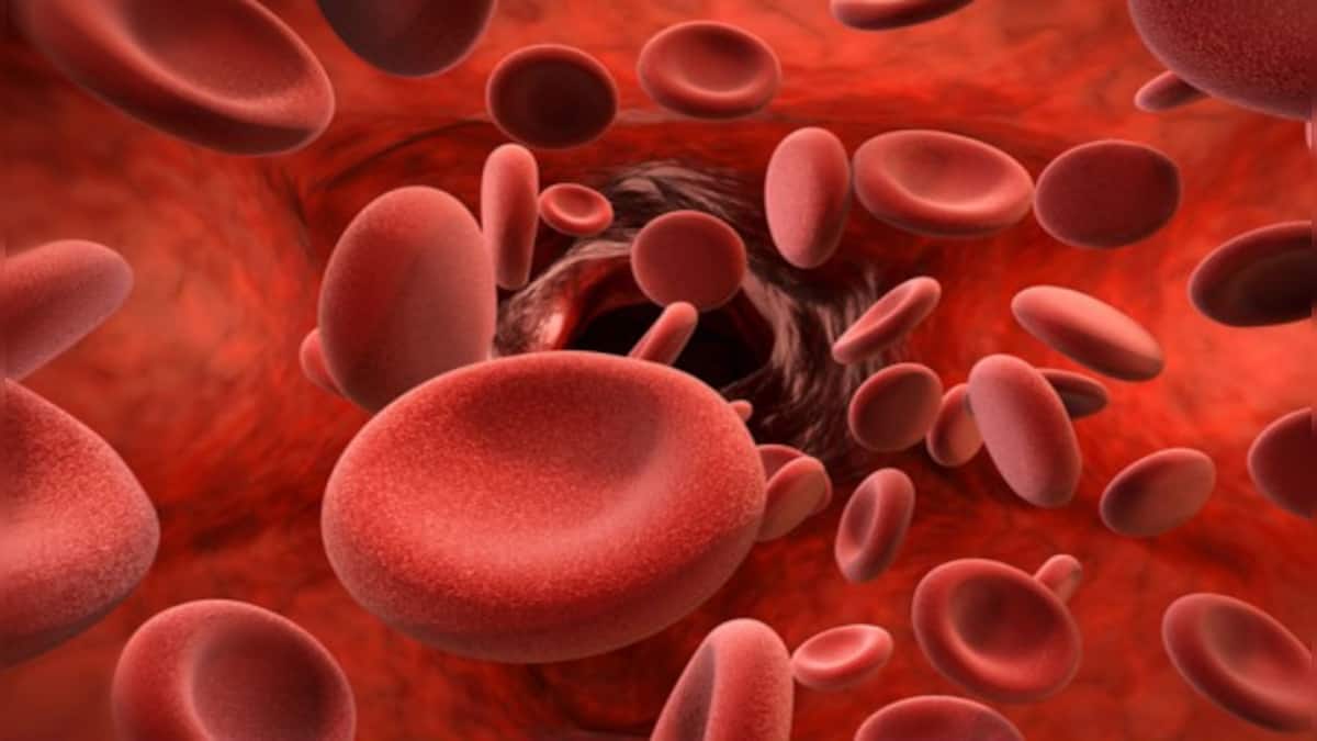 What is rare ‘Golden blood’ which has nine donors in the world? – Firstpost