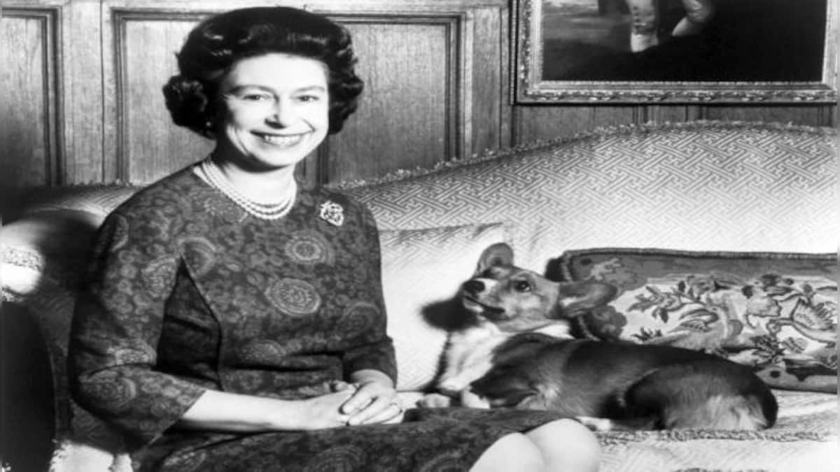 The Crown and the Corgis: What happens to Queen Elizabeth's beloved ...
