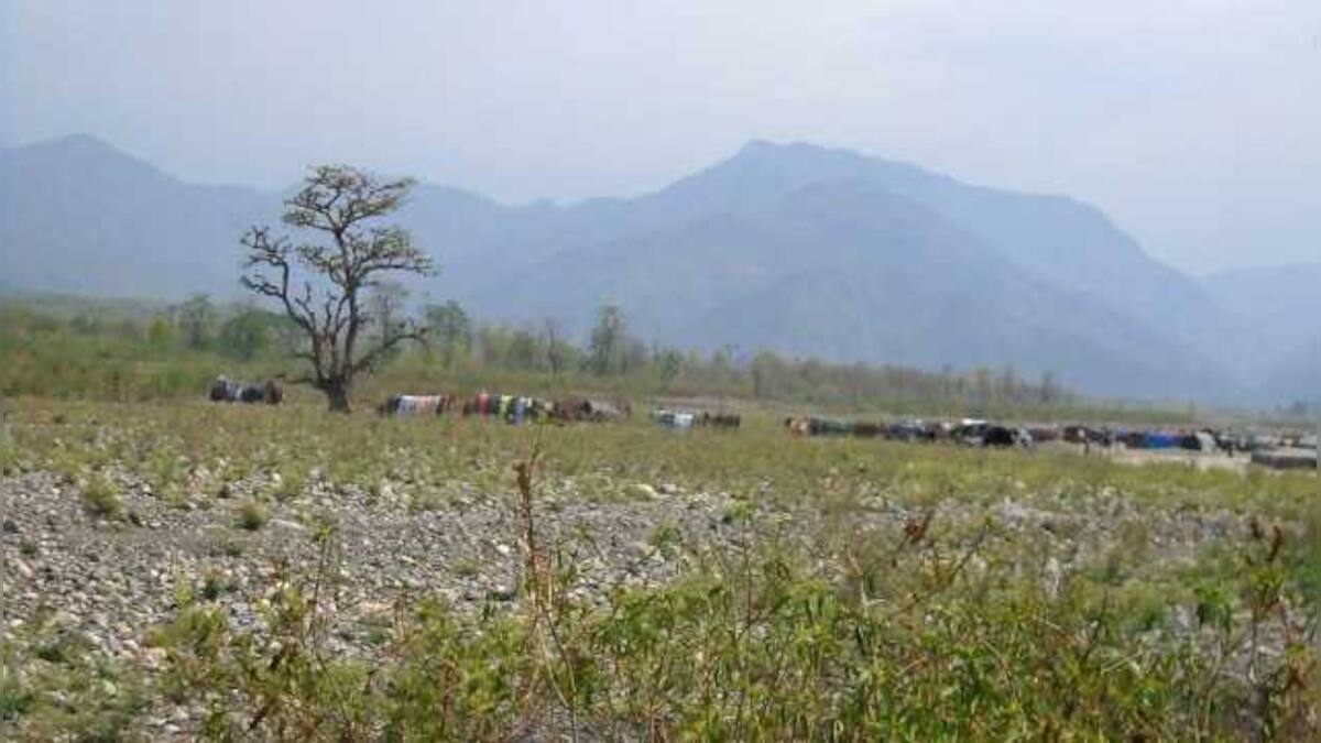 Monsoon flooding washes away Iconic Haldu tree on Jakhan river near ...