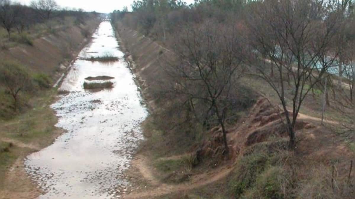 Punjab, Haryana chief ministers discuss the Sutlej-Yamuna Link canal ...