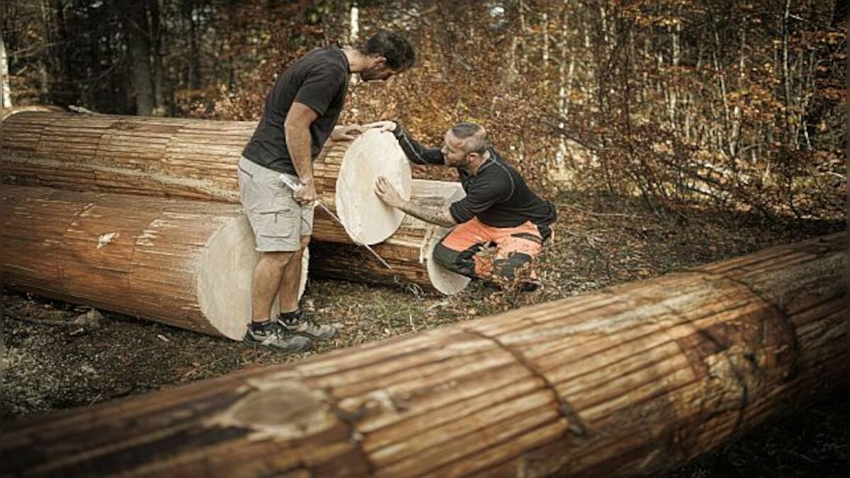 The Sound of Music: How climate change threatens quality of acoustic ...