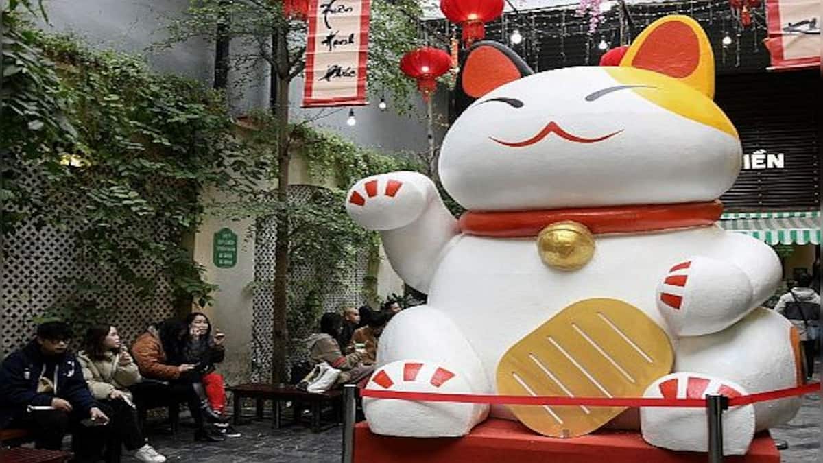 Explained: Why it's Year of The Cat and not Rabbit in Vietnam – Firstpost
