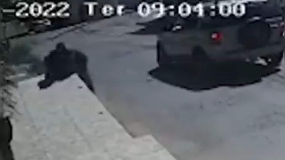 Viral video: Robber ends up getting hit by truck after looting woman in ...