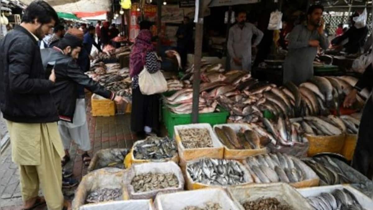 Milk @PKR 210 a litre, chicken meat @PKR 700 per kg as Pakistan economy ...