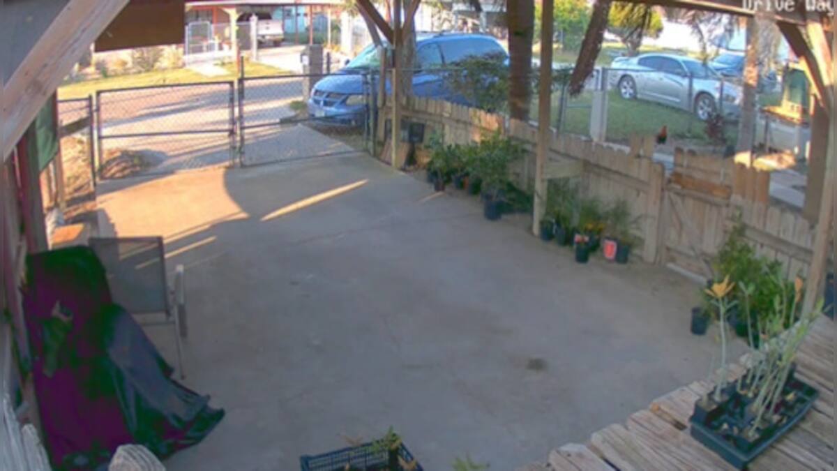 Watch: Large meteor crashes in Texas neighbourhood; loud explosion ...