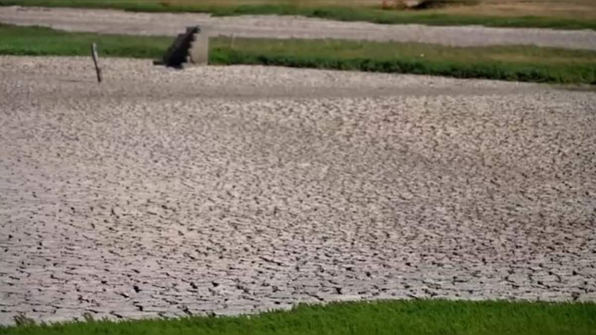 'The grass doesn't grow': In Chile's far south, the worst drought in 50 ...