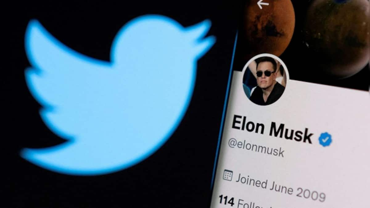 Musk’s own platform: Twitter's algo tracks how Elon Musk's tweets are ...