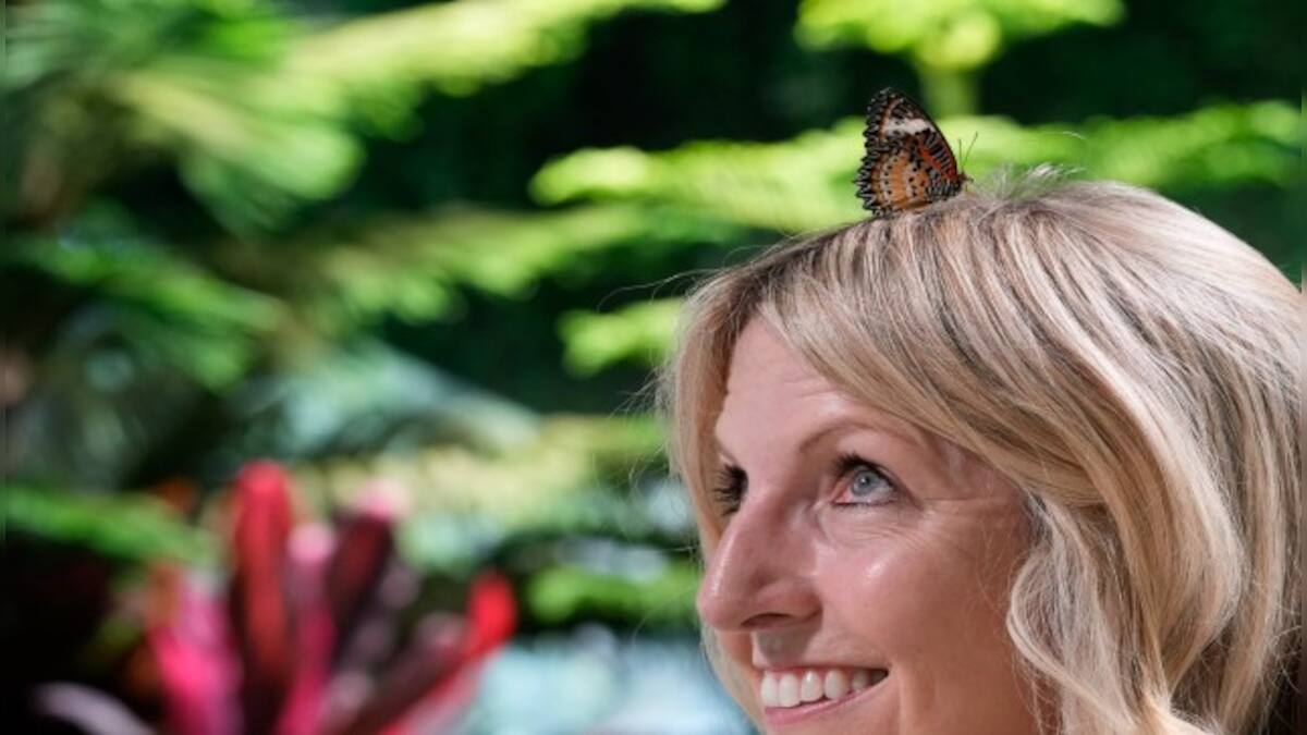 What’s the buzz? Insects are flying out of the new American Museum of ...