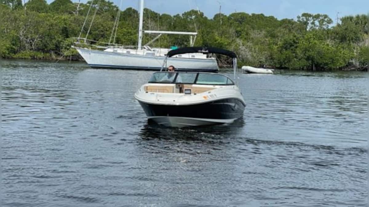 New Zealand toddler drowns after falling off boat while parents cooked ...