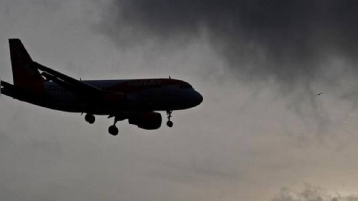 Delayed passengers growl after a bear escapes from the cargo hold of an ...