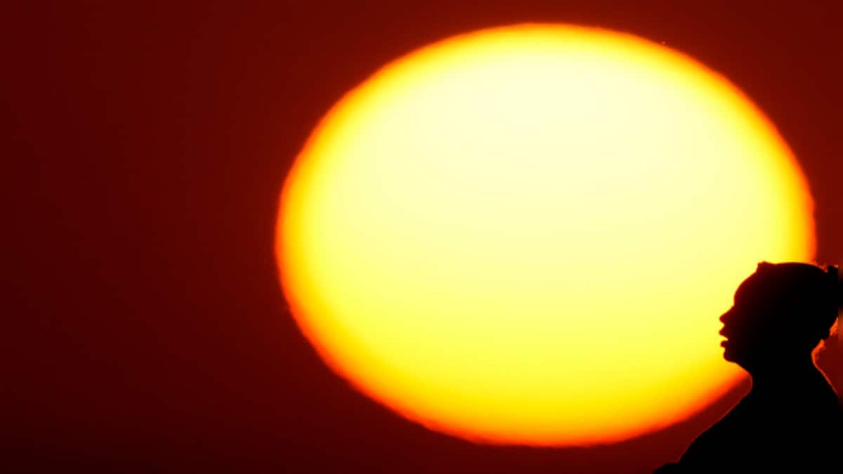 Earth outside ‘safe operating space’ for humanity, says new study. Are ...