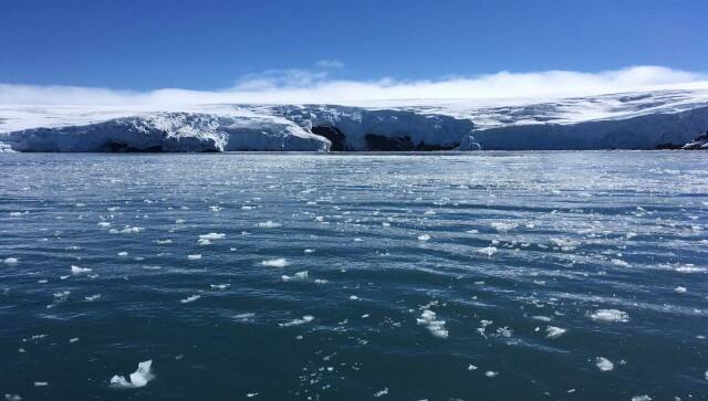 Why is Antarctica increasingly turning green? Why is this a concern ...