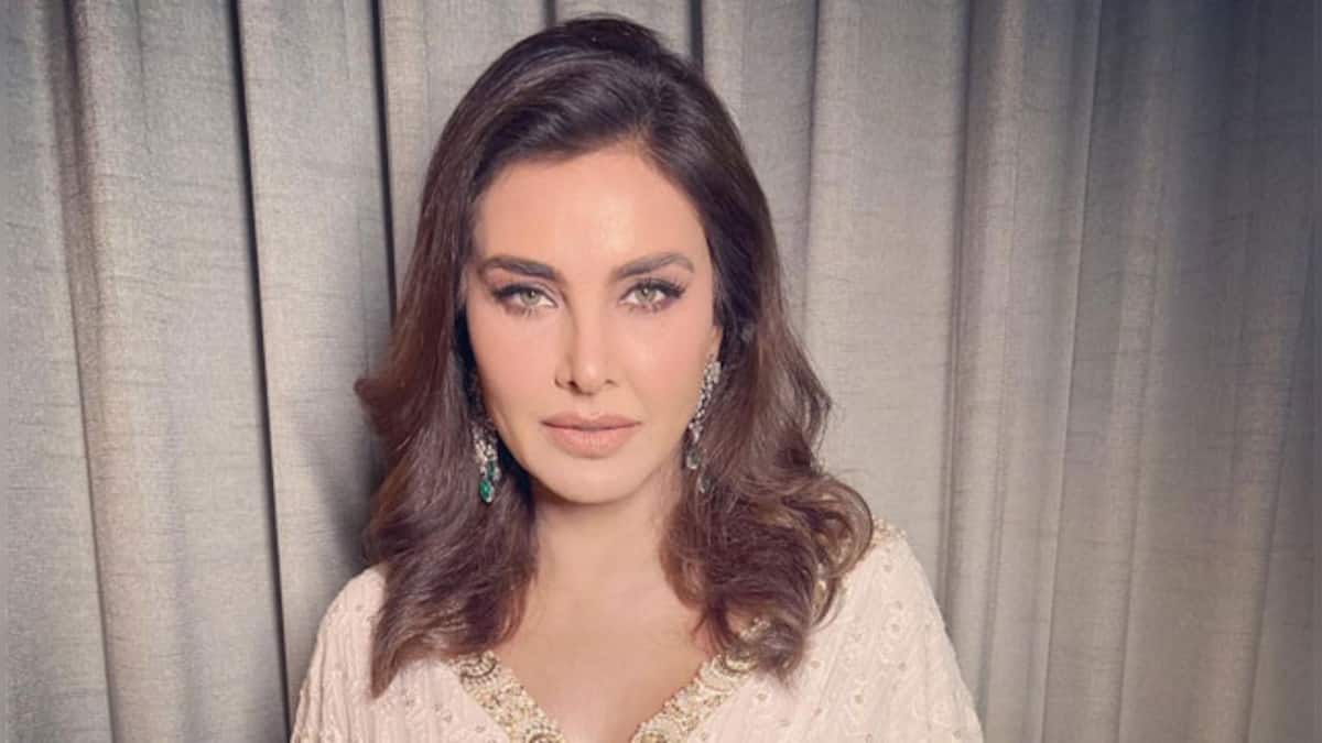 'I have reclaimed my fitness story', Lisa Ray opens up on her fitness ...