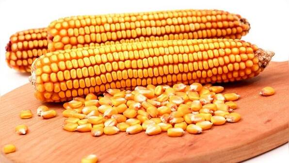 In Graphics | Why you should add maize, bajra and other superfoods to ...
