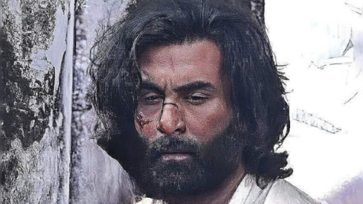 Animal box office: 7 records created by Ranbir Kapoor-Rashmika Mandanna ...
