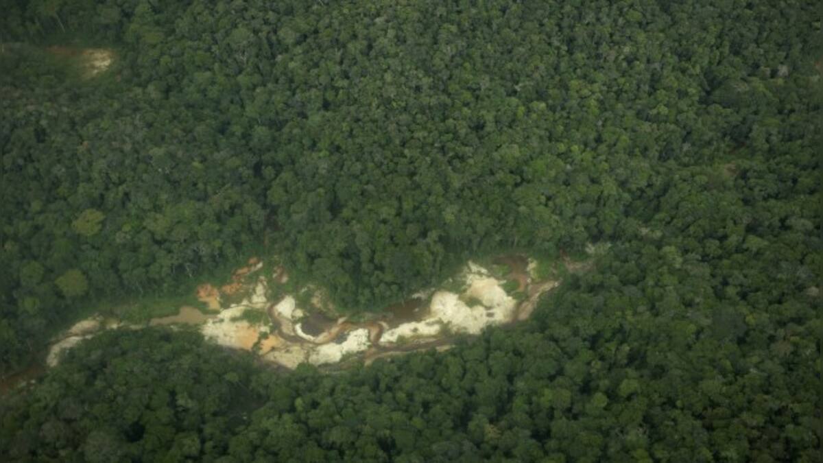 Brazil to bolster security for Yanomami territory in Amazon rainforest ...