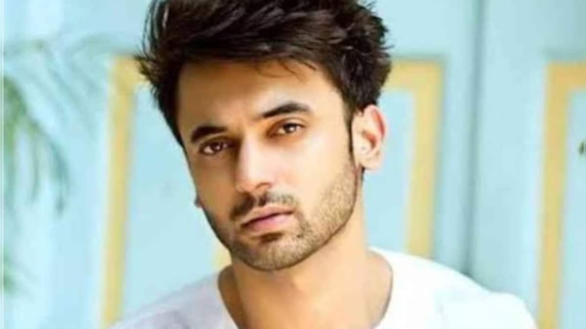 EXCLUSIVE! Paramvir Singh Cheema on Sapne v/s Everyone success: ‘Was ...