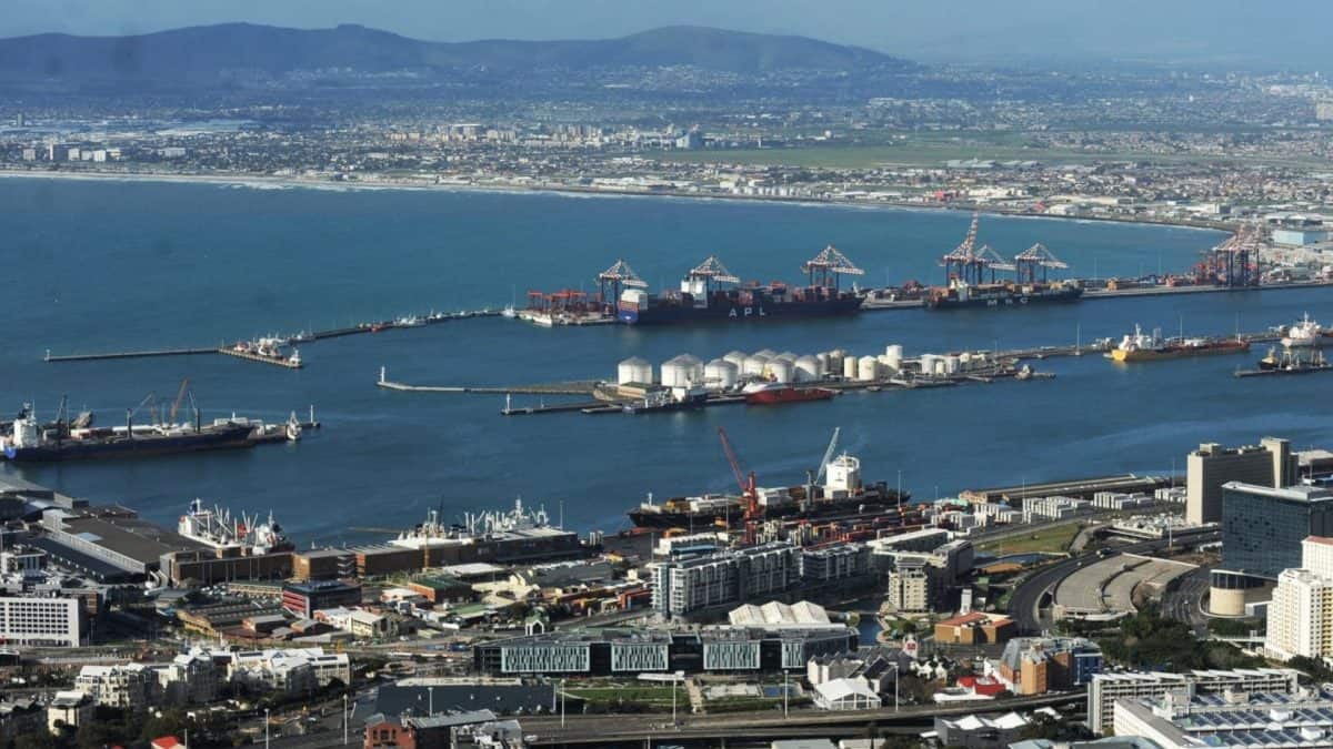 How bad is the stench of 19,000 cattle cramped in a ship? Cape Town ...