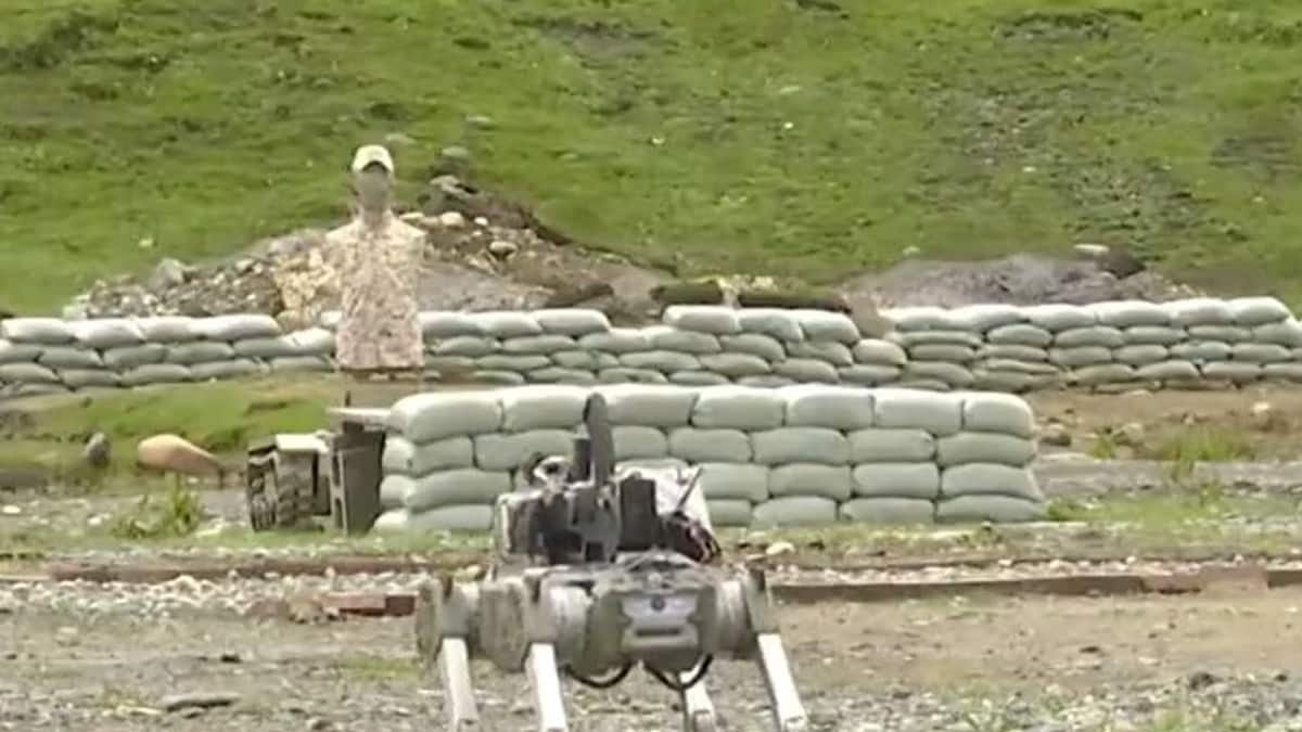 Canines at War: Watch out for China's robotic dogs equipped with arms ...