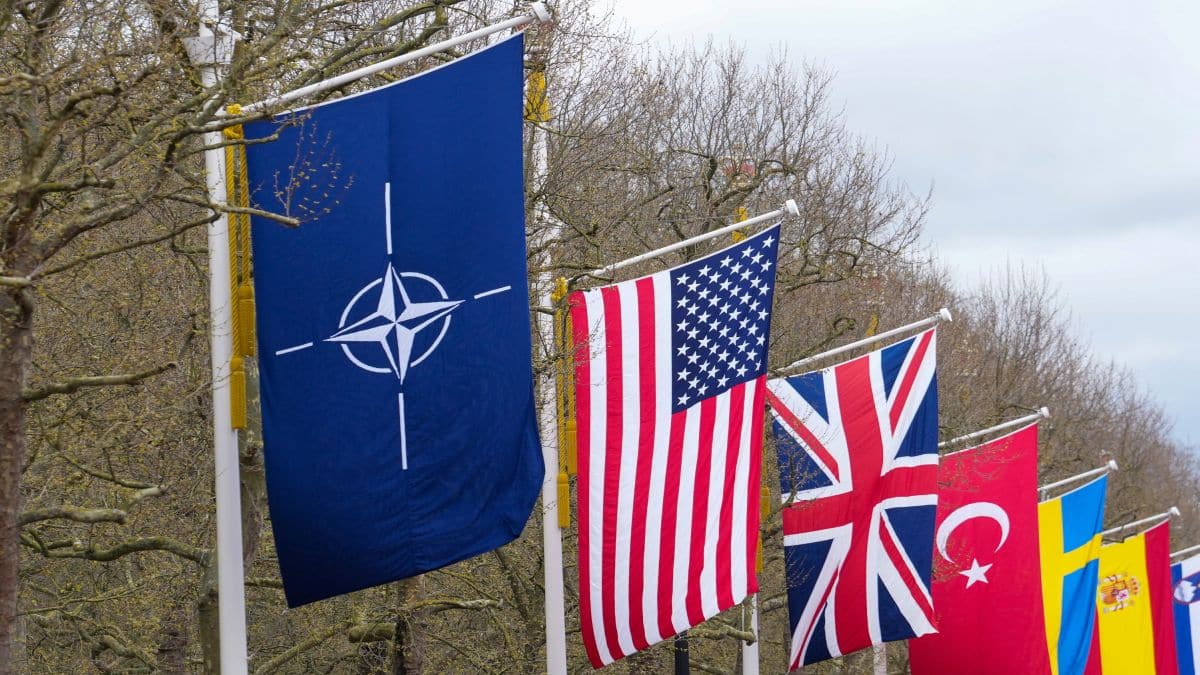 NATO at 75: Is the military bloc stronger or under threat? – Firstpost