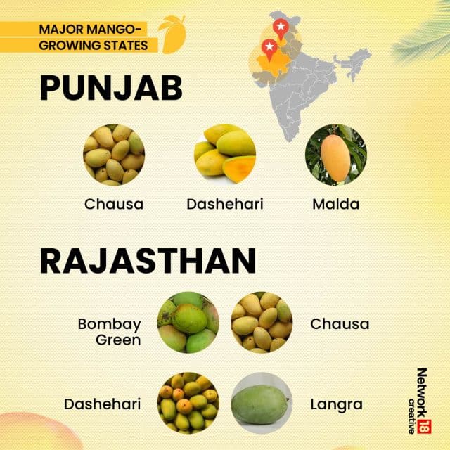 In Graphics | The Mango Map of India: From Maharashtra’s Alphonso to ...