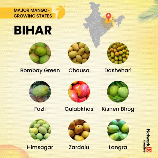 In Graphics | The Mango Map of India: From Maharashtra’s Alphonso to ...