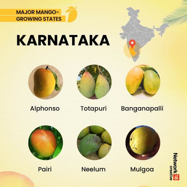 In Graphics | The Mango Map of India: From Maharashtra’s Alphonso to ...