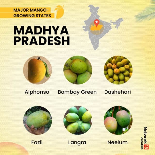 In Graphics | The Mango Map of India: From Maharashtra’s Alphonso to ...