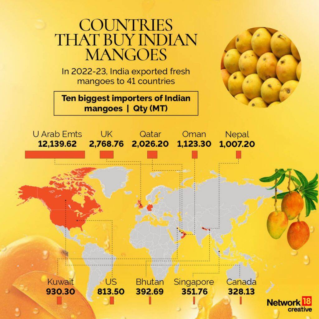 In Graphics l Which countries are importing Indian mangoes the most ...
