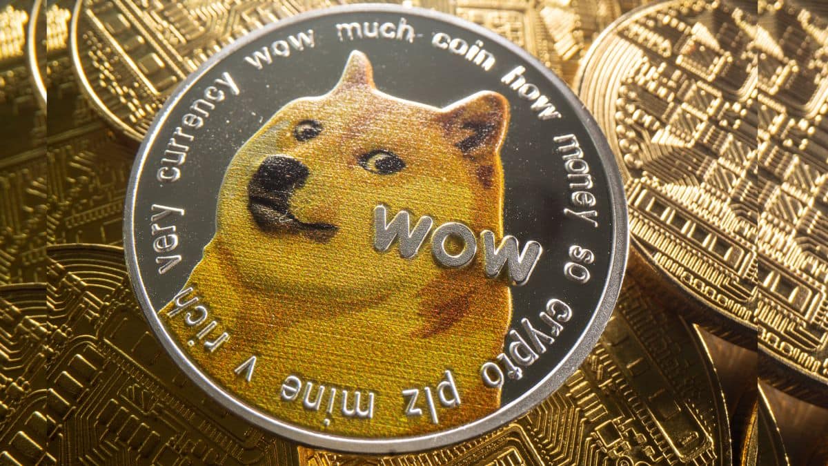 Kabosu, the famed Shiba Inu dies: How a rescue dog became the face of Dogecoin & an internet ...