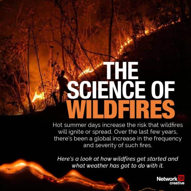 In Graphics | What causes wildfires? How do they spread so quickly? – Firstpost