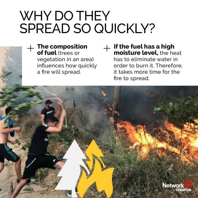 In Graphics | What causes wildfires? How do they spread so quickly ...