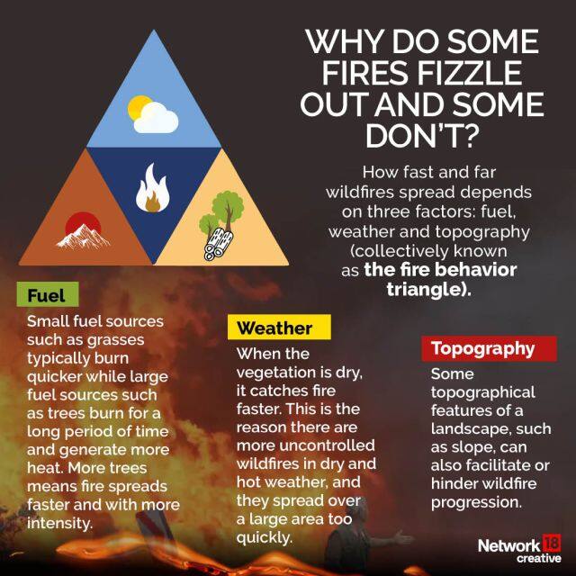 In Graphics | What causes wildfires? How do they spread so quickly ...