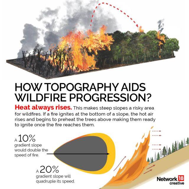 In Graphics | What causes wildfires? How do they spread so quickly ...