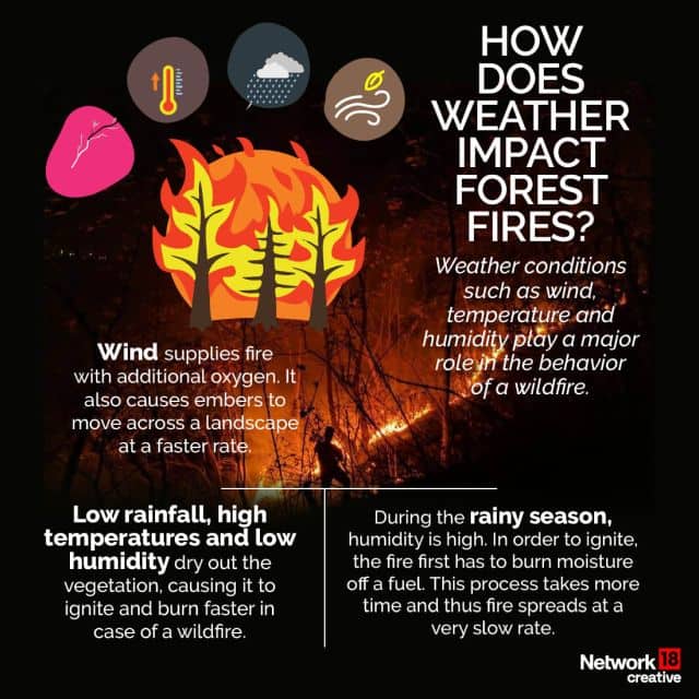 In Graphics | What causes wildfires? How do they spread so quickly ...