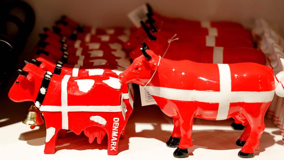 What is Denmark's carbon tax that will levy fines on gassy cows ...