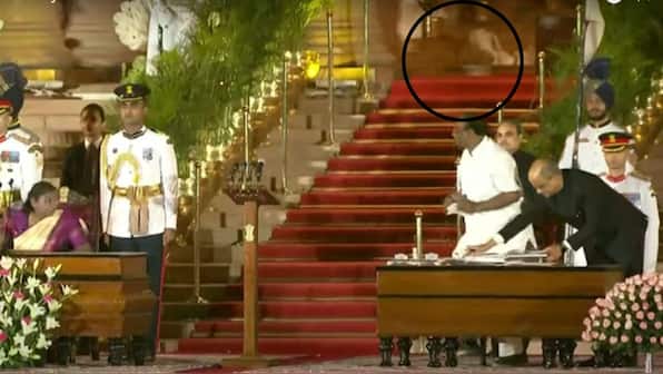 Watch: Did leopard also attend PM Modi's swearing-in ceremony? Here's ...