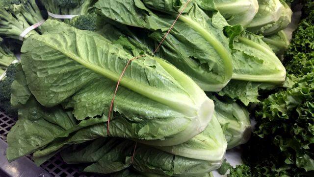 How has the UK’s E. coli outbreak been linked to lettuce? Here’s what ...