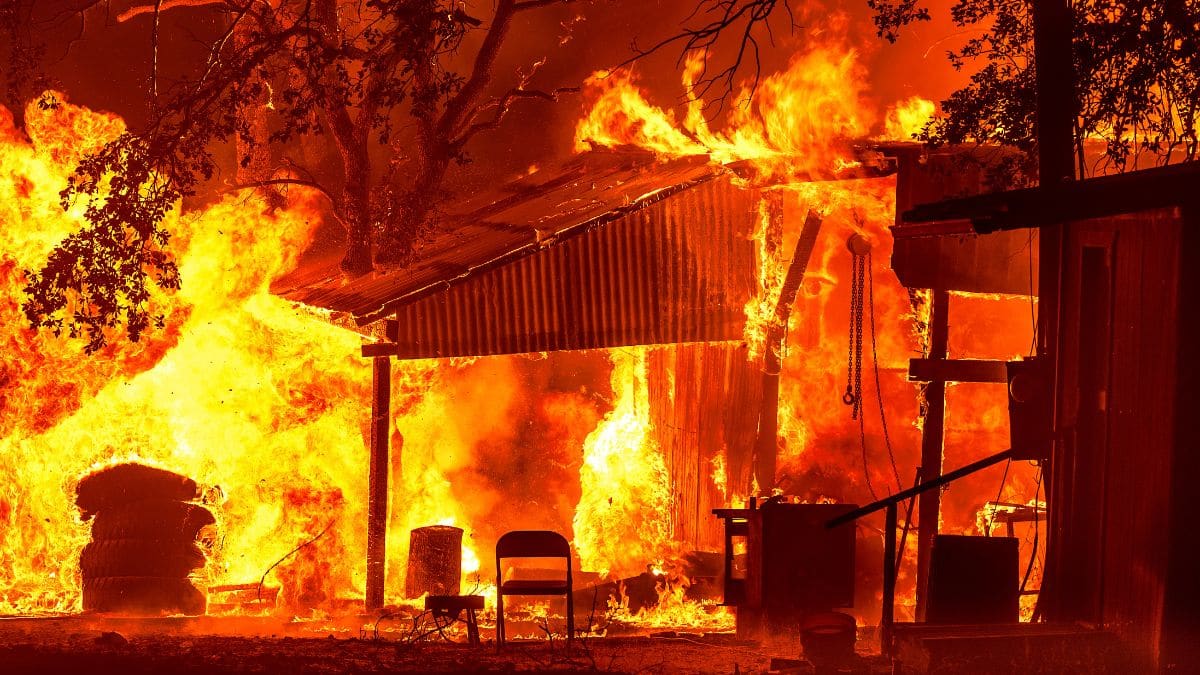 California wildfires rage: What’s fuelling the flames of 2024’s largest ...