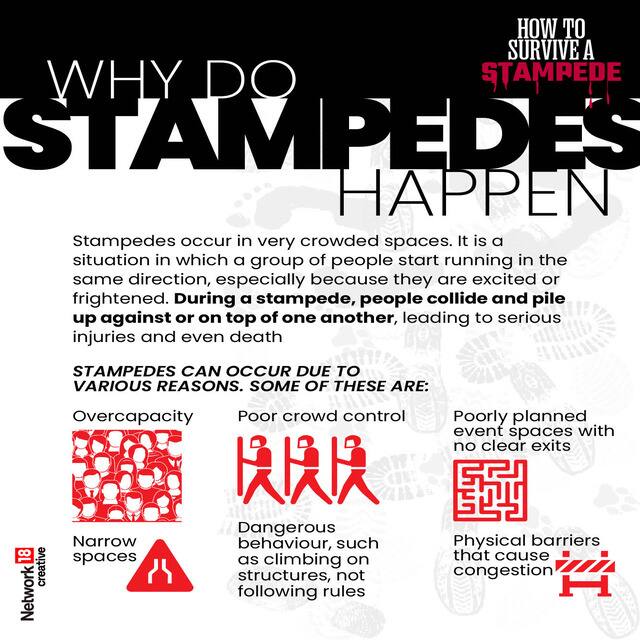 In Graphics | What to do if you are stuck in a stampede? – Firstpost