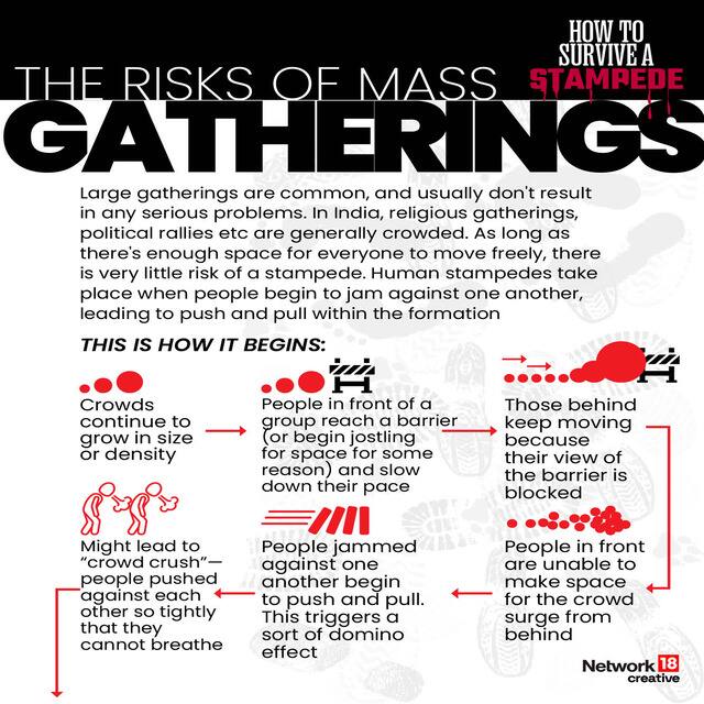 In Graphics | What to do if you are stuck in a stampede? – Firstpost