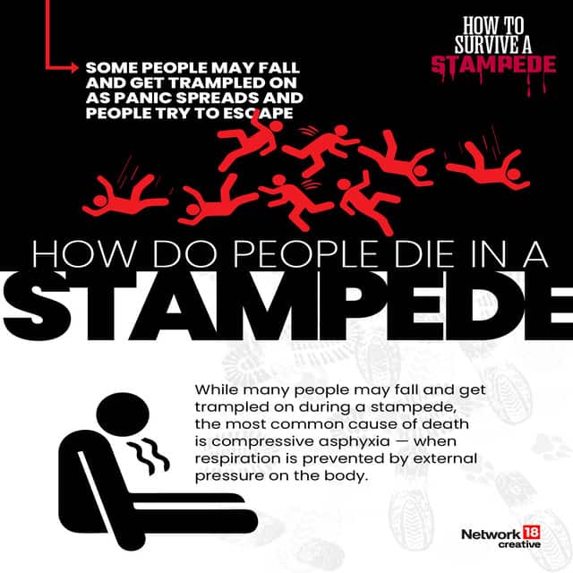 In Graphics | What to do if you are stuck in a stampede? – Firstpost
