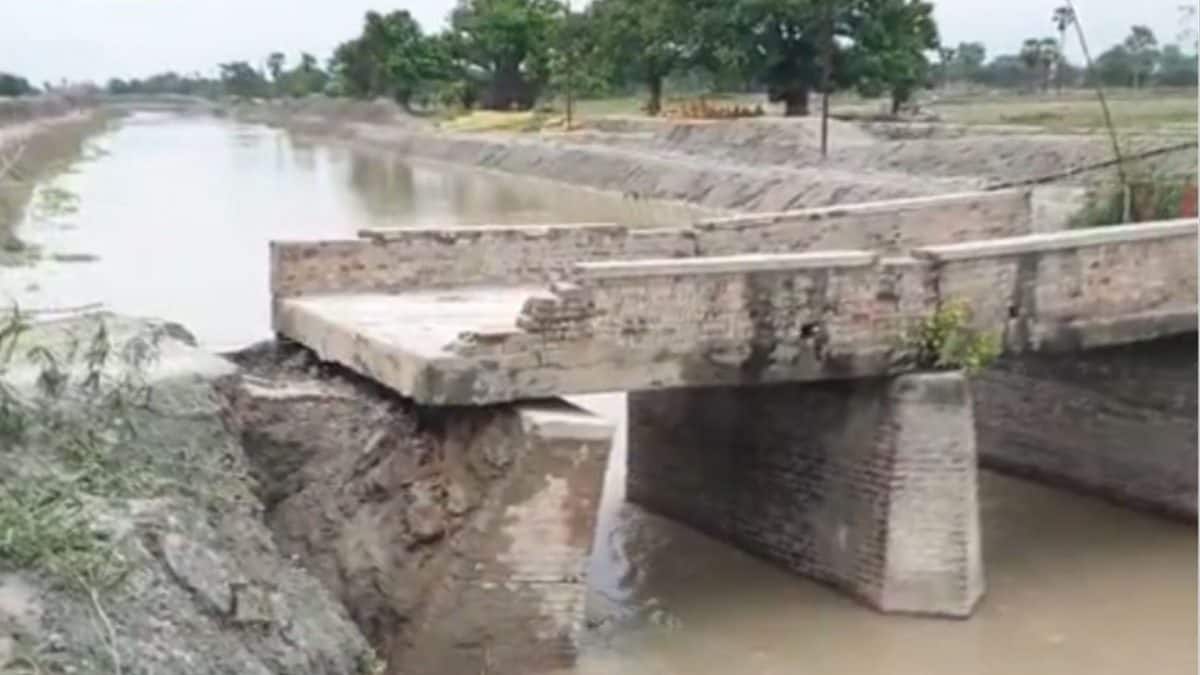 WATCH: 7th bridge collapses in Bihar in 15 days, mounts concerns over ...