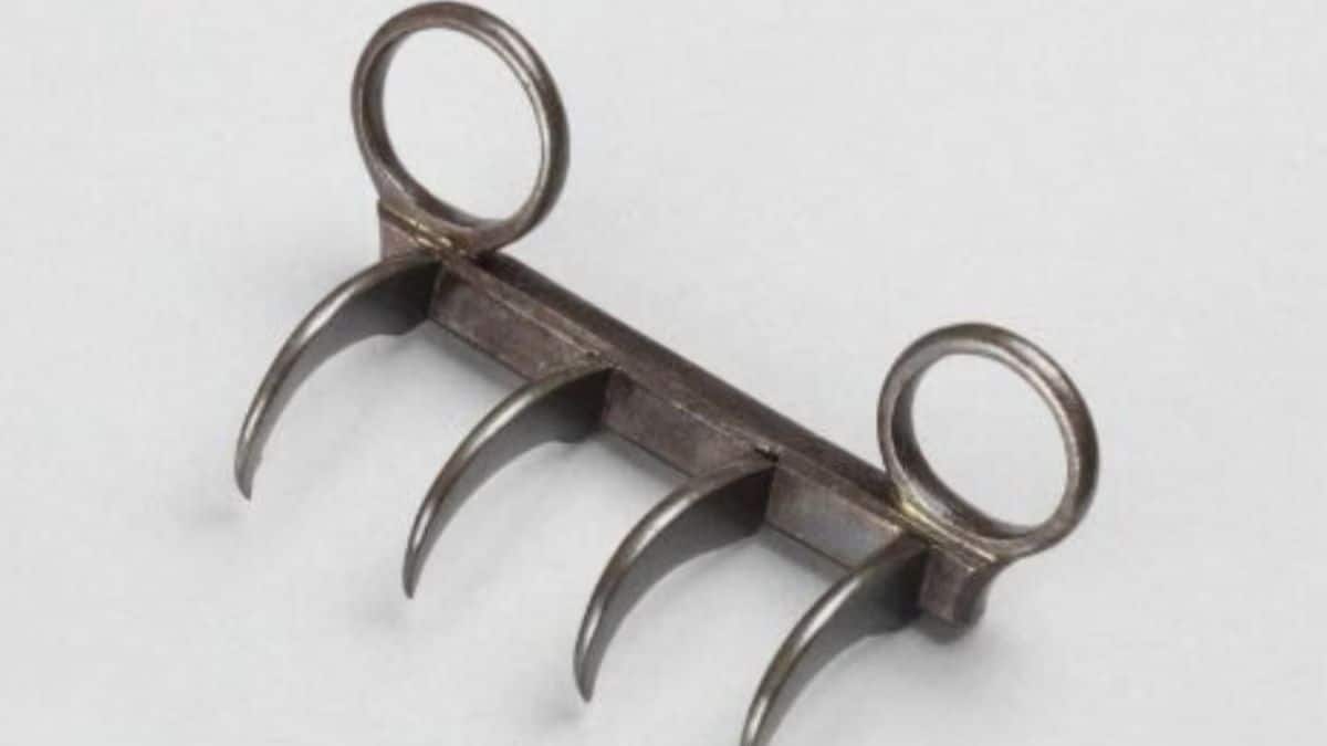 Shivaji's 'Wagh Nakh' brought to India from London museum for display ...